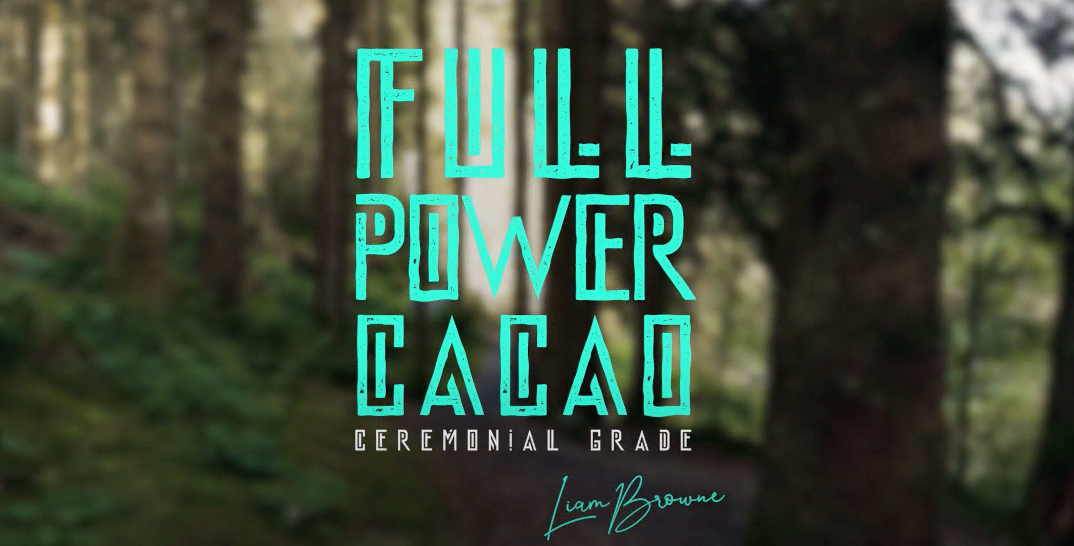 ABOUT US – FULL POWER CACAO